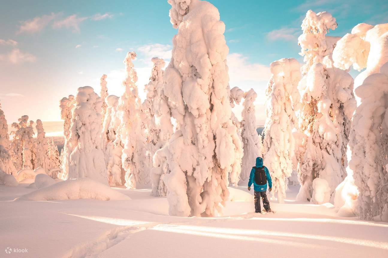 Lapland Hiking and Snowshoeing Tour from Rovaniemi - Klook