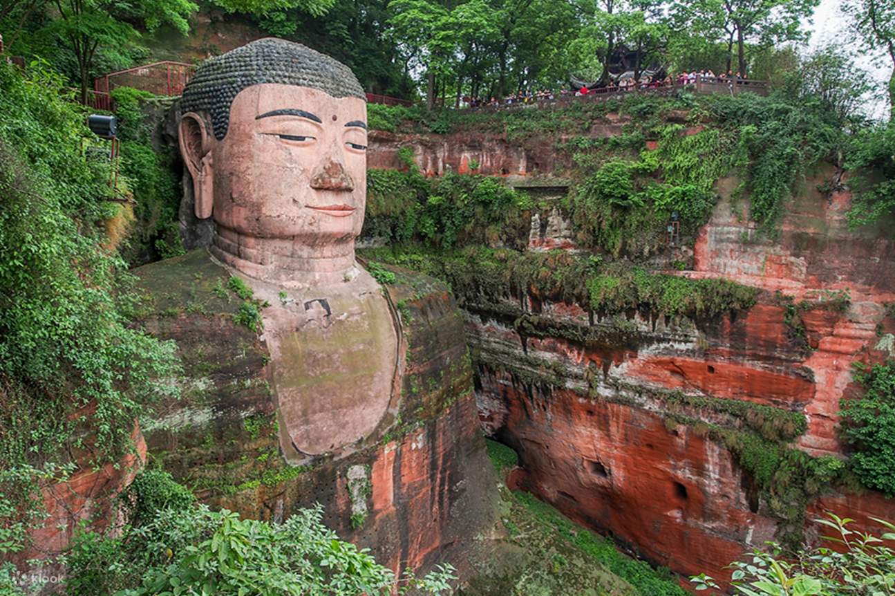 Chengdu Panda Base & Leshan Giant Buddha One Day Join-in Group Tour ...