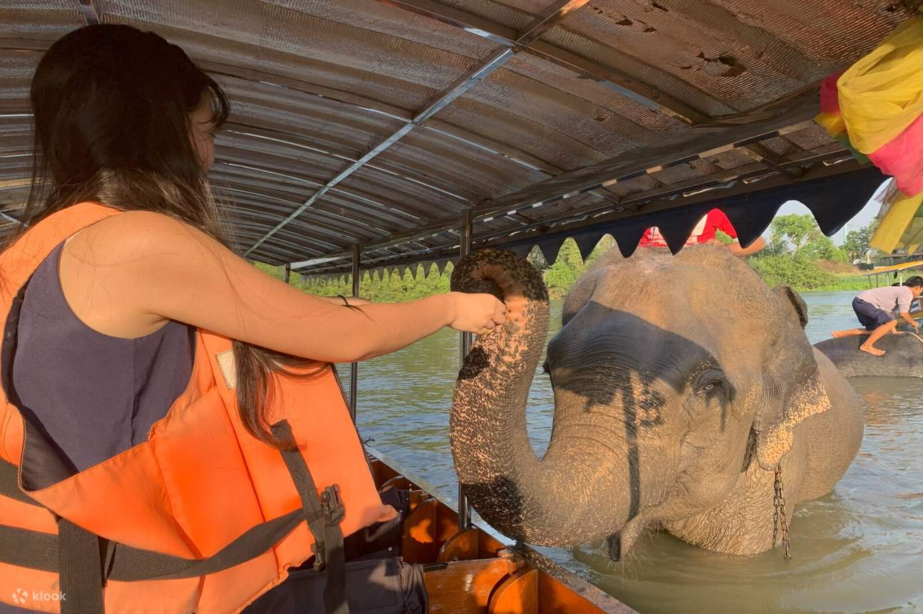 Let's go meet the elephants by boat! Half-day tour of the World ...