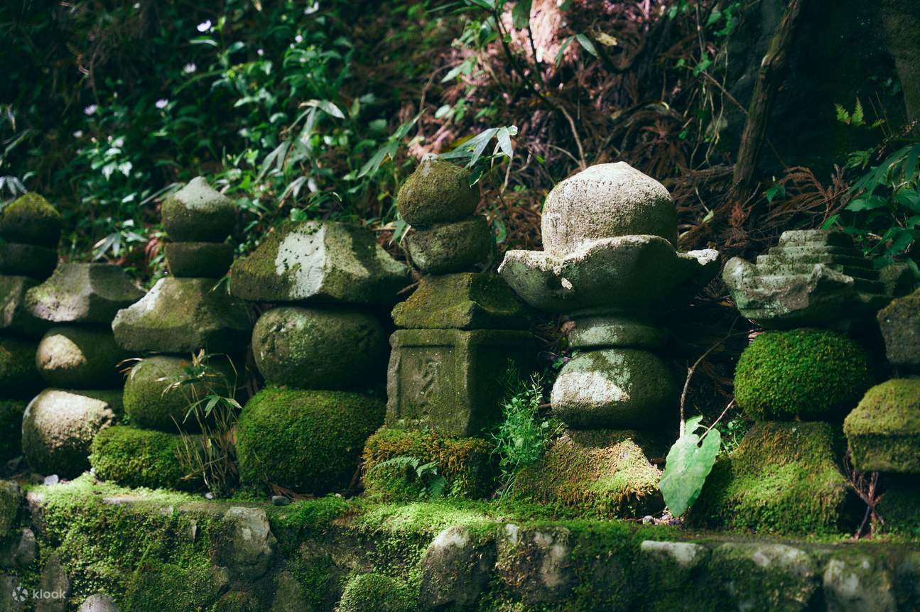Mt Fuji & Hakone Private Day Tour - Private Guide - Onsen and Nature ...
