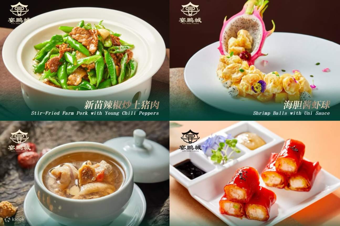 Shenzhen K11 ECOAST Karaoke Package - Klook United States