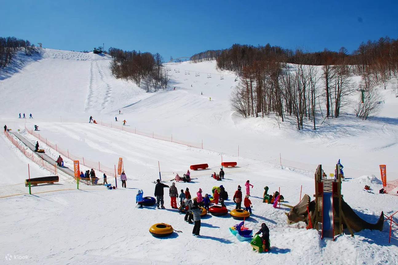Sapporo Teine Ski Resort Day Tour | Snowboard & Ski, Certified Chinese ...
