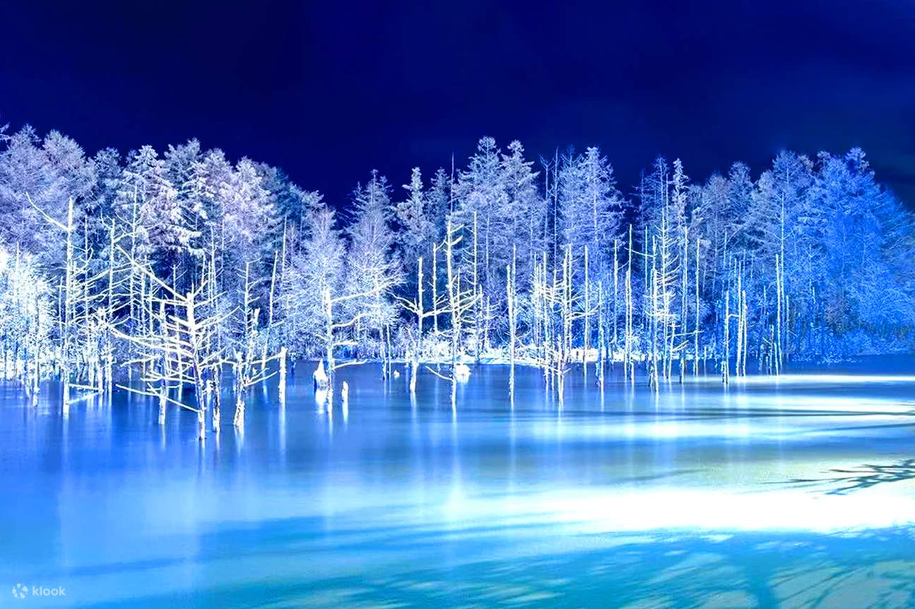 Hokkaido Winter Limited-Time Illumination Tour | Shirogane Blue Pond ...