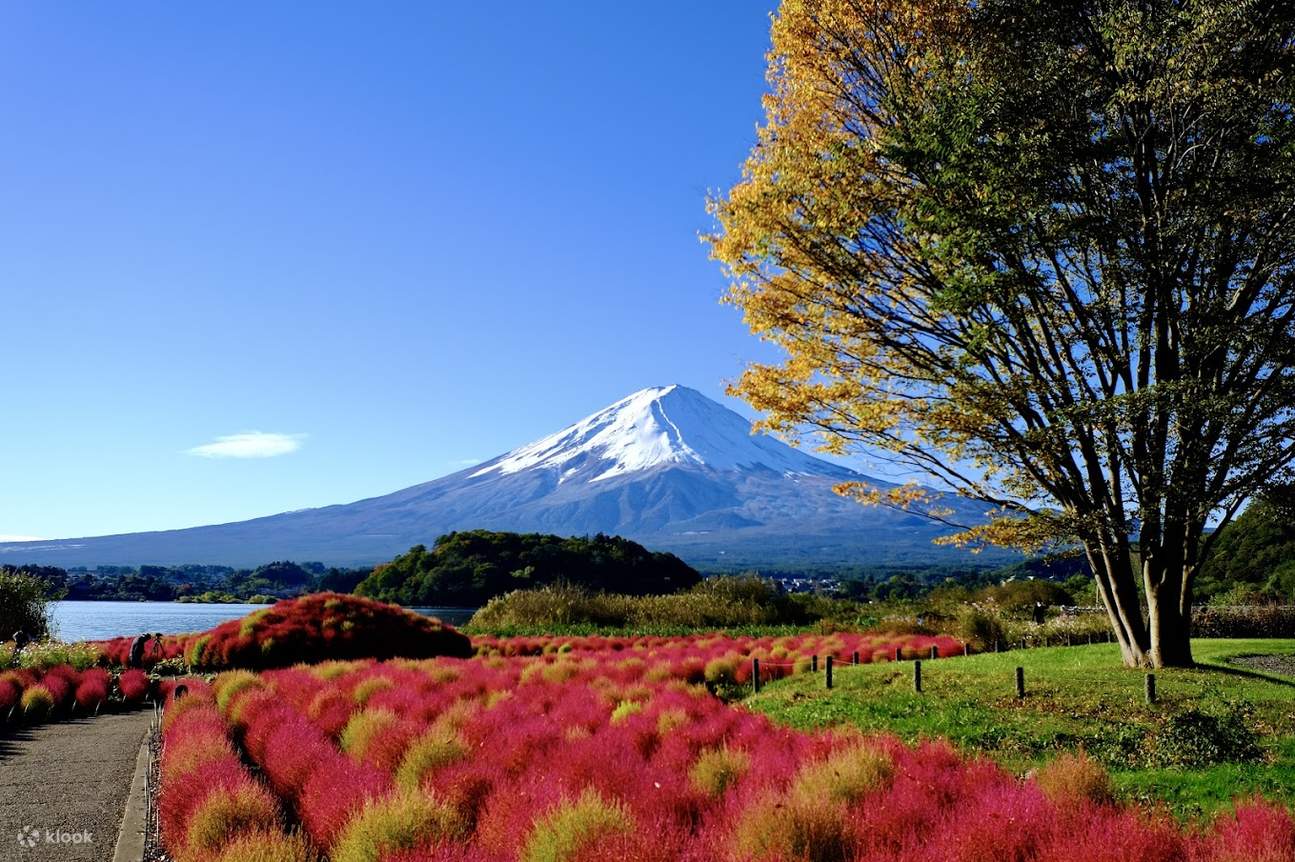 Tur satu hari ke pemandangan Gunung Fuji yang menakjubkan dan lautan ...
