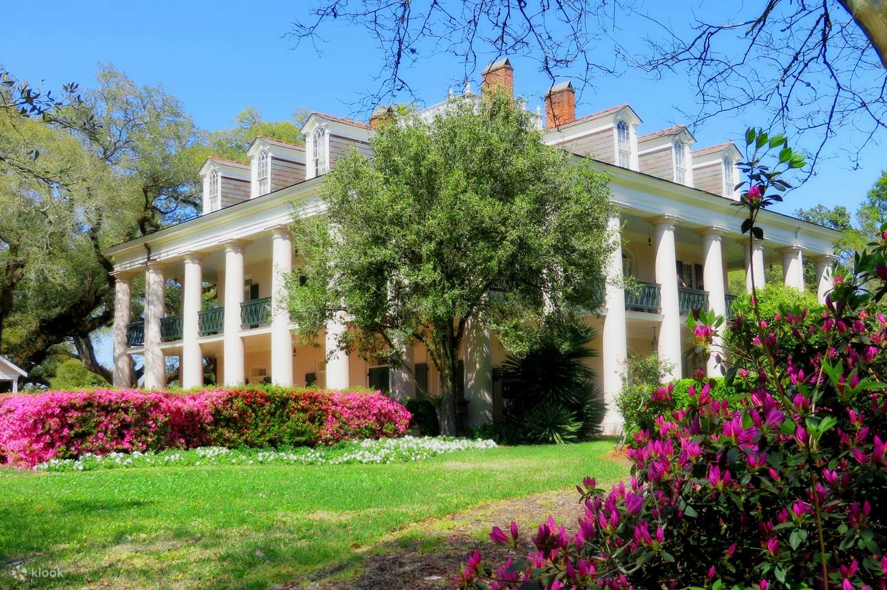 Oak Alley Plantation Tour with Transportation - Klook