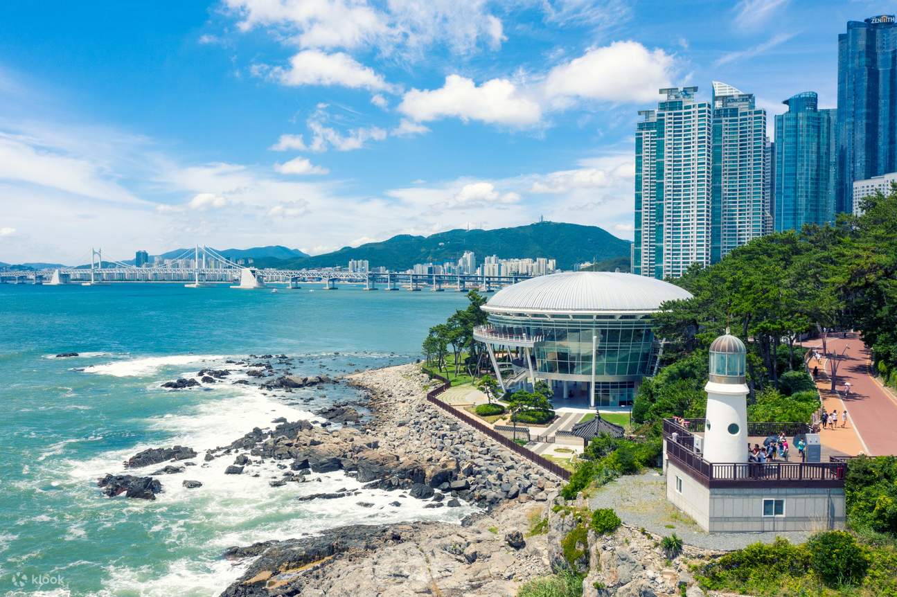 Tour di Busan di un'intera giornata per piccoli gruppi (massimo 6 ...