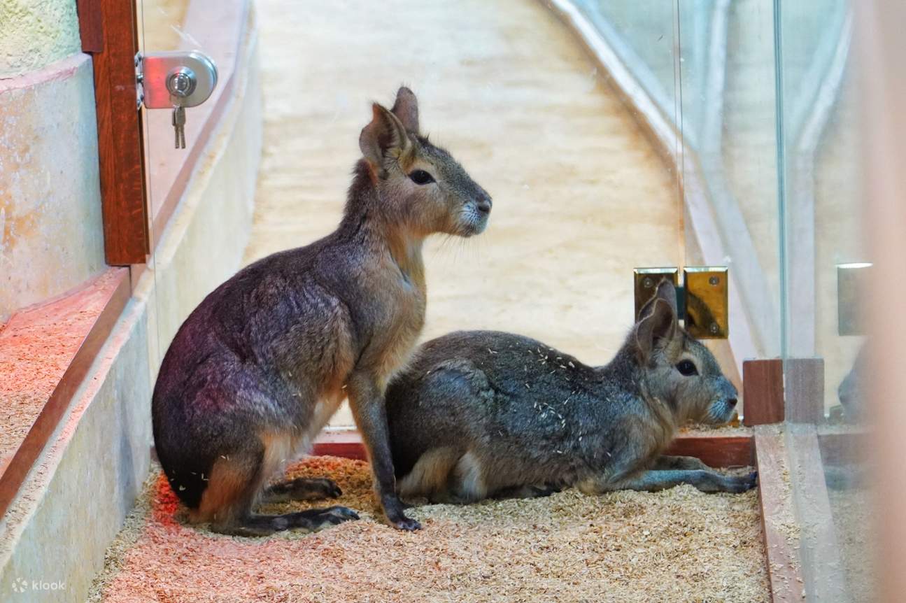 Vé Khu Du Lịch Fresh Garden và Fresh Zoo Đà Lạt - Klook Việt Nam