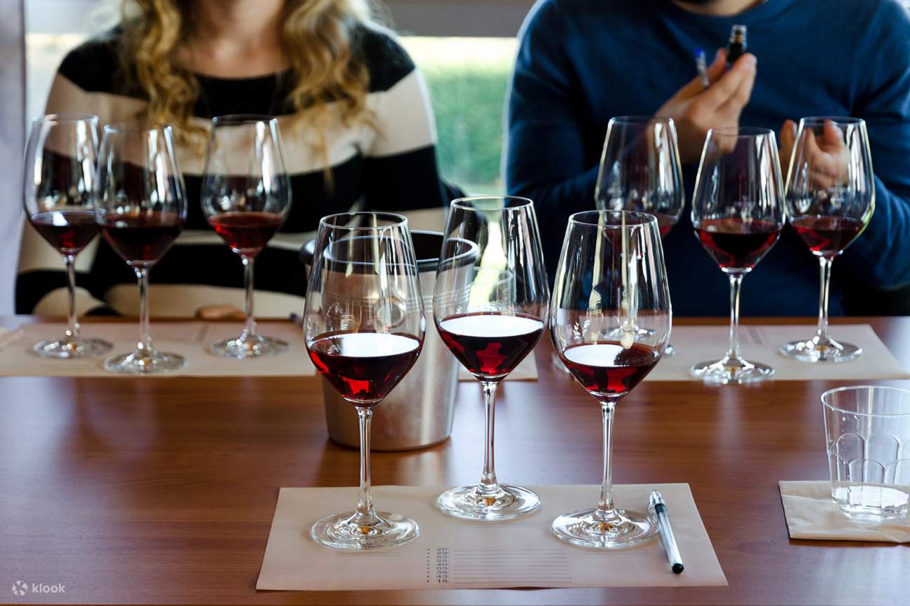 Online Wine Tasting Class with an Italian Sommelier from Venice - Klook ...