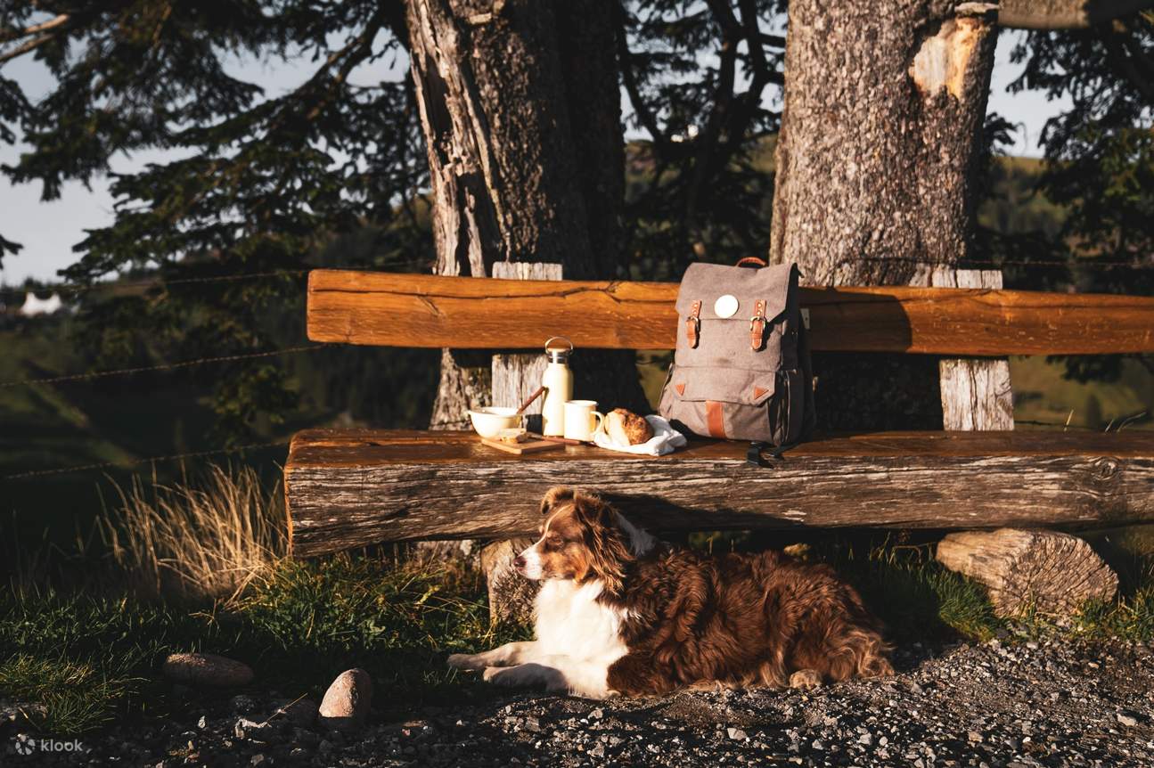 Private Autumn Picnic Experience in Mount Rigi - Klook Philippines