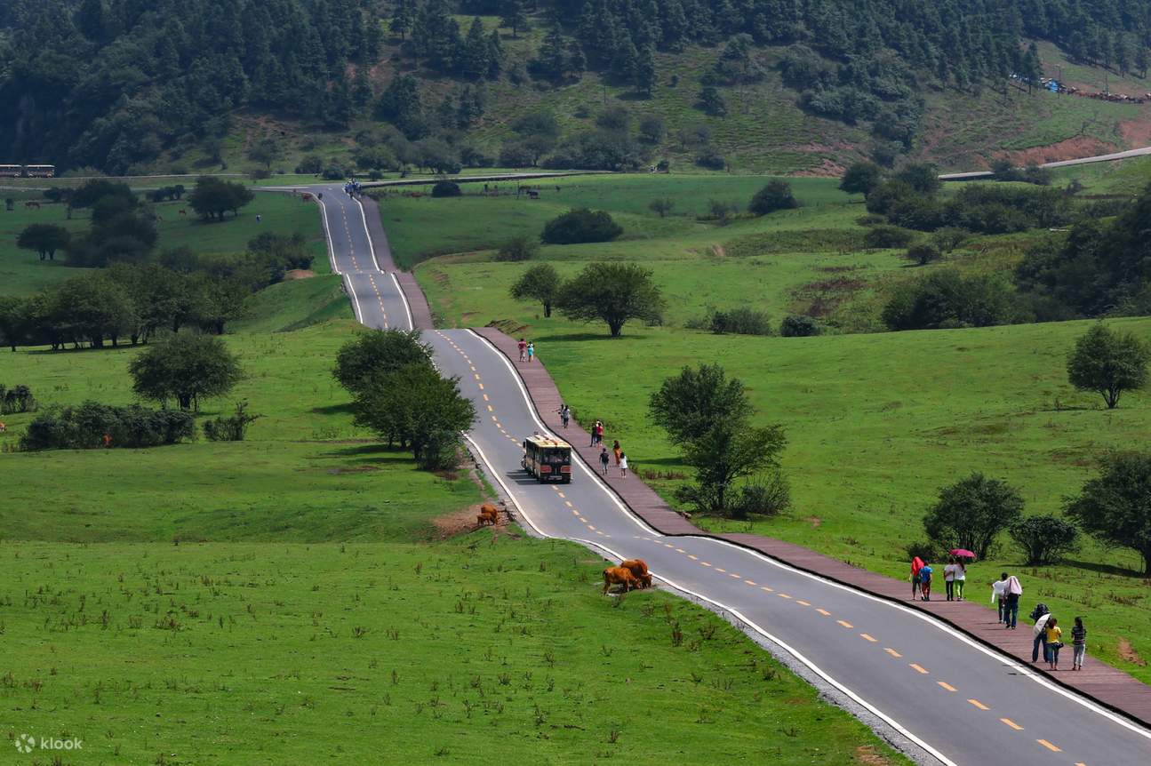 Two-Day Tour of Chongqing Wulong Three Natural Bridges + Longshui Gorge ...