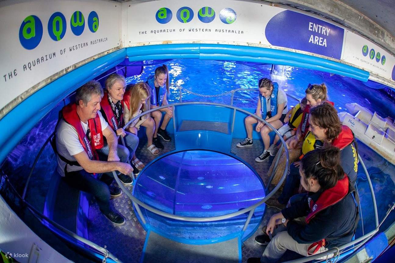 AQWA Entry and Glass Bottom Boat Tour - Klook Philippines