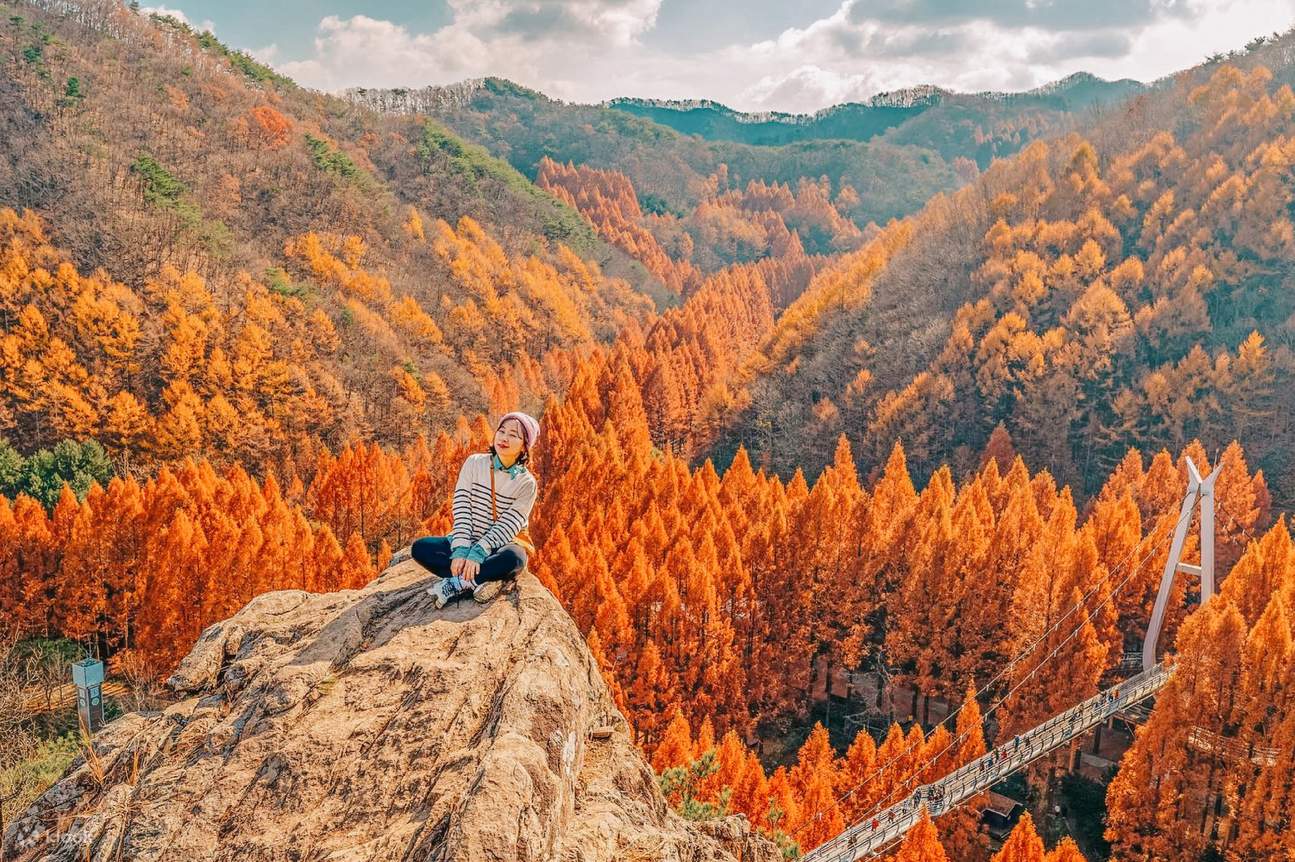 Jeonju Hanok Village & Seasonal Popular Attractions Day Tour - Klook ...