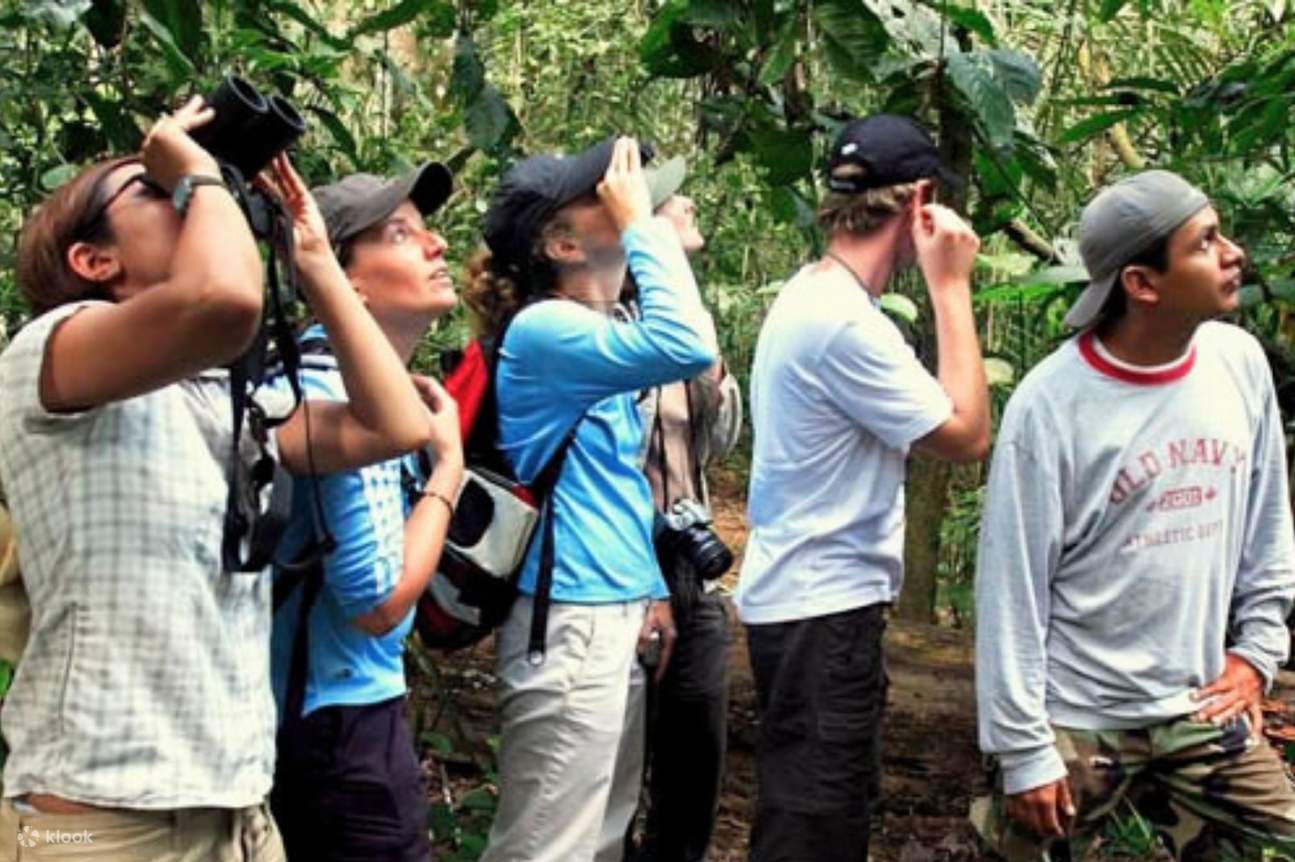 Immerse in Nature: 6 Days Manu Reserved Zone Tour for Unforgettable ...