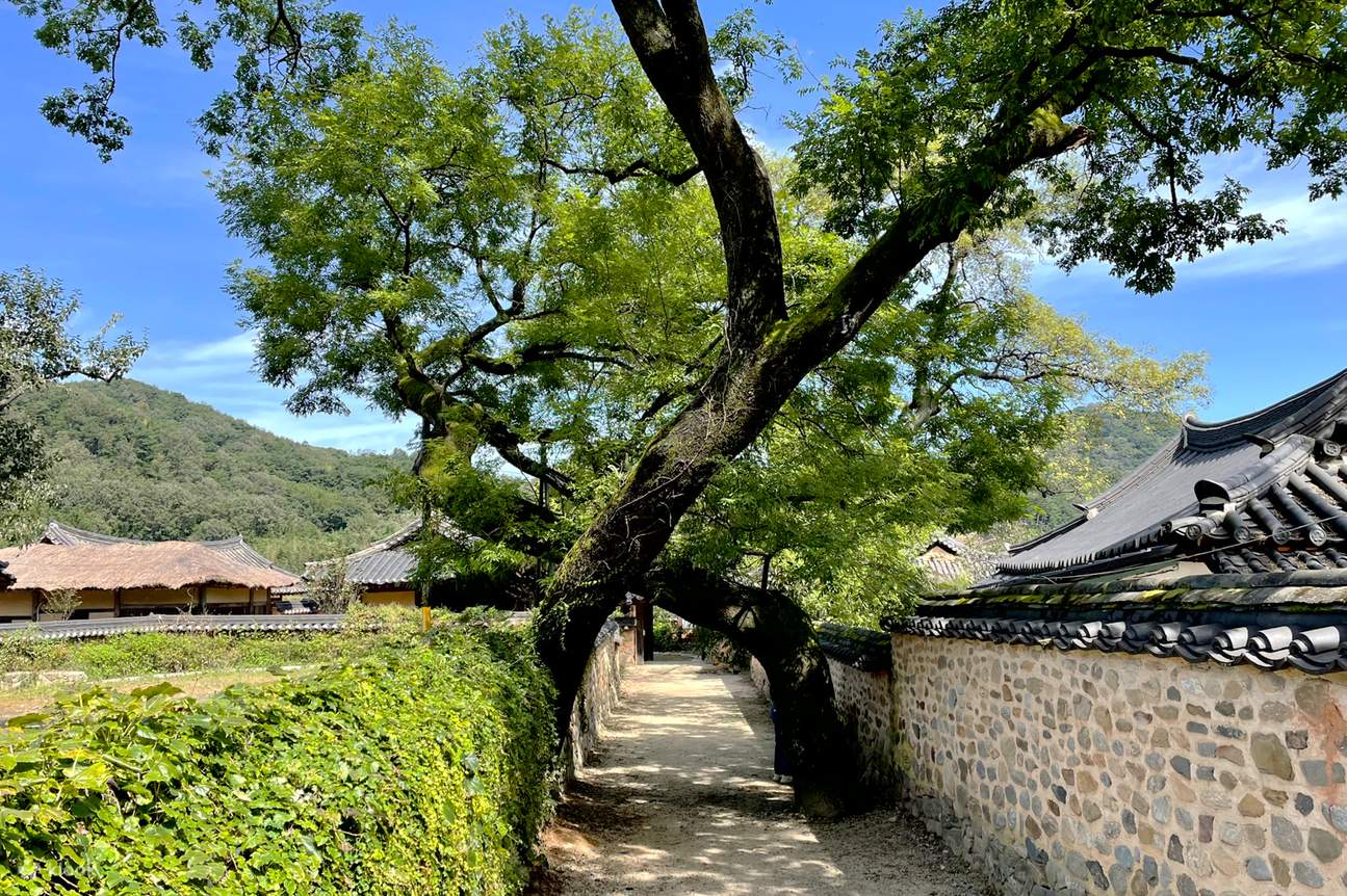 Tur Desa Tradisional Korea Sancheong 2D1N dari Busan - Klook Indonesia