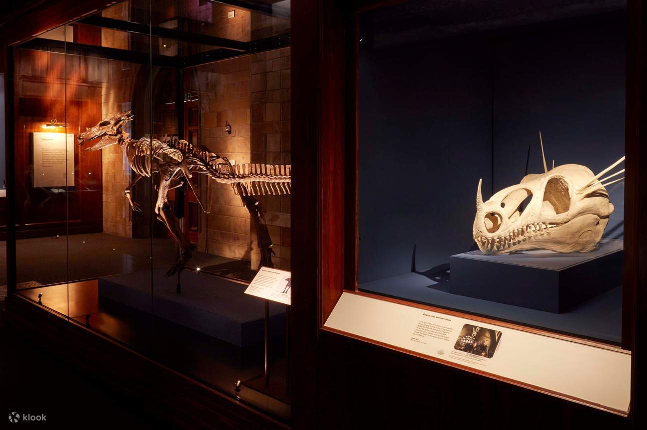 Fantastic Beasts Exhibition Ticket in Melbourne Museum - Klook Philippines