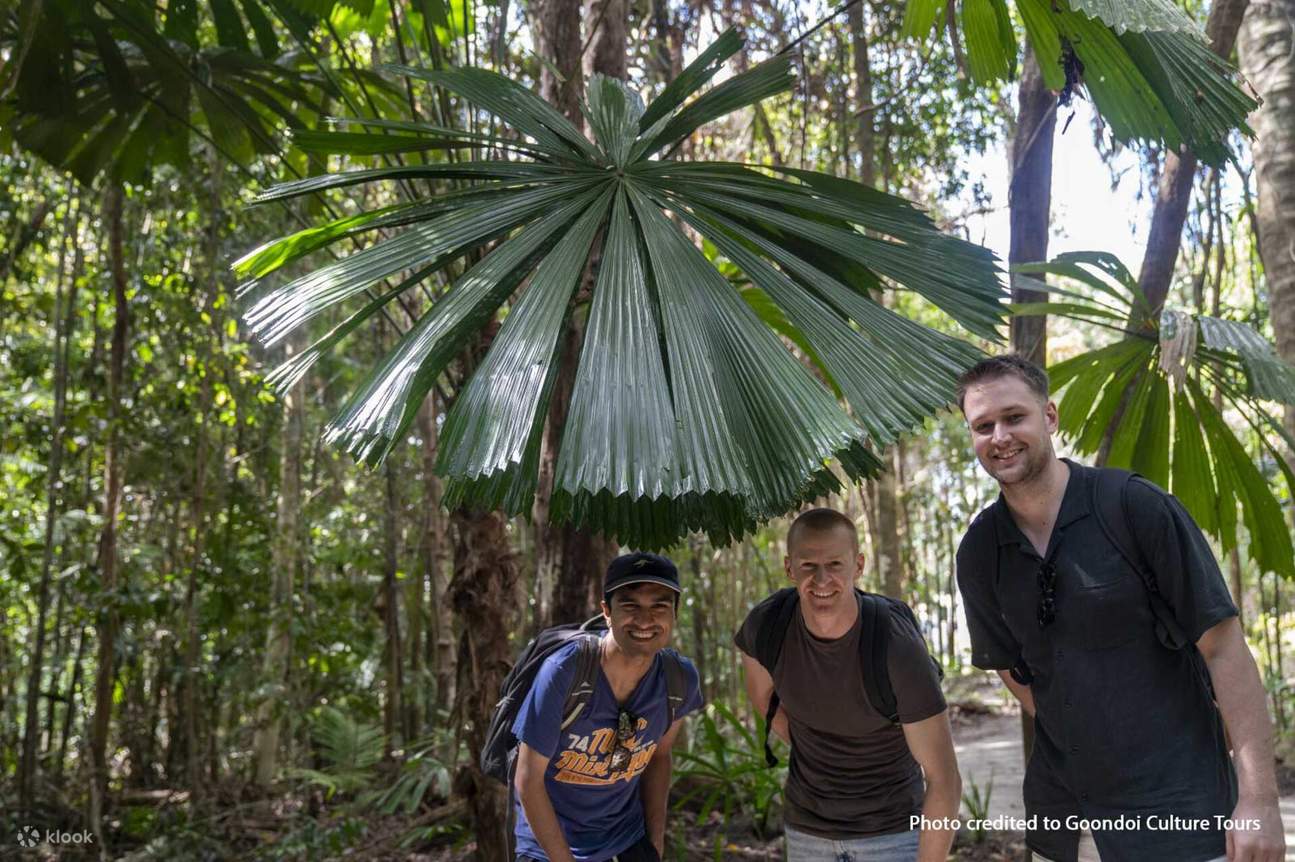 Cassowary Coast Waterfall Culture Tour - Klook United States