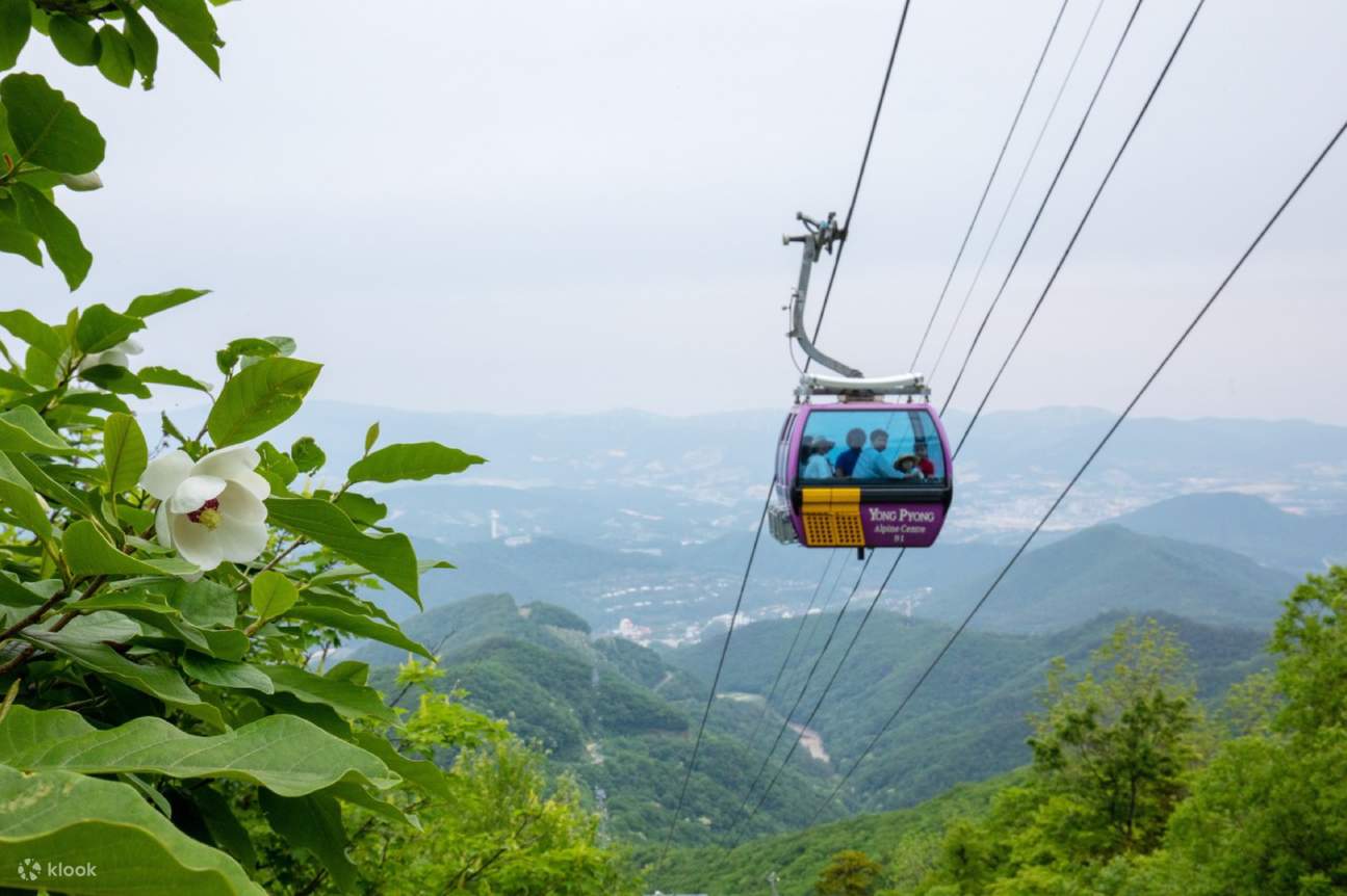 Balwangsan Cable Car & Samyang Ranch One Day Tour from Seoul - Klook