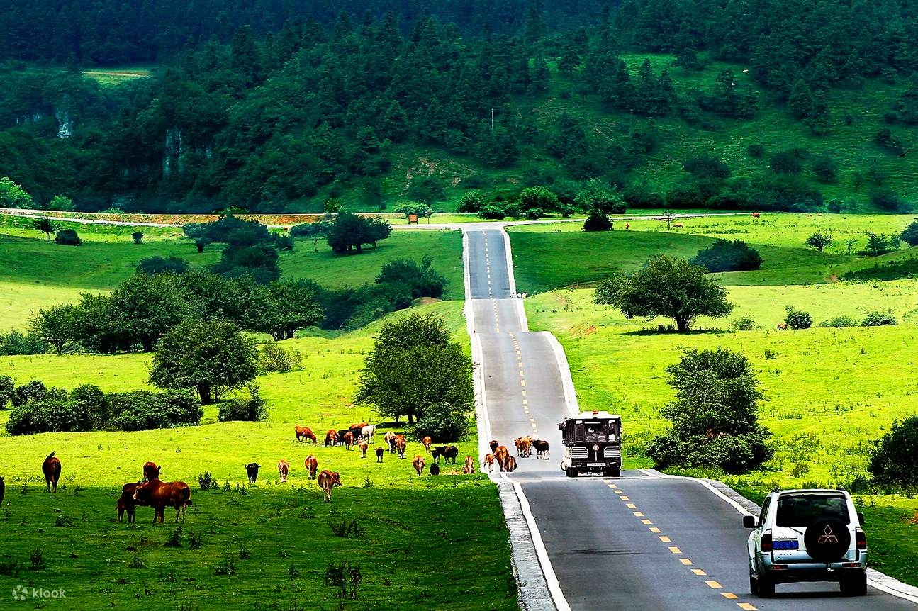 Chongqing Wulong Three Natural Bridges + Longshui Gorge Fissure/Fairy ...