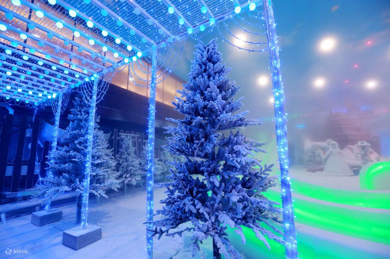 Window to the World-Alpine Ice and Snow World - Klook Australia