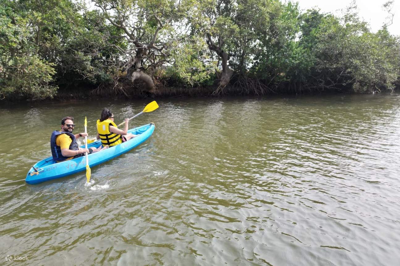 Baga Beach: 1-Hour Kayaking Adventure - Klook Singapore
