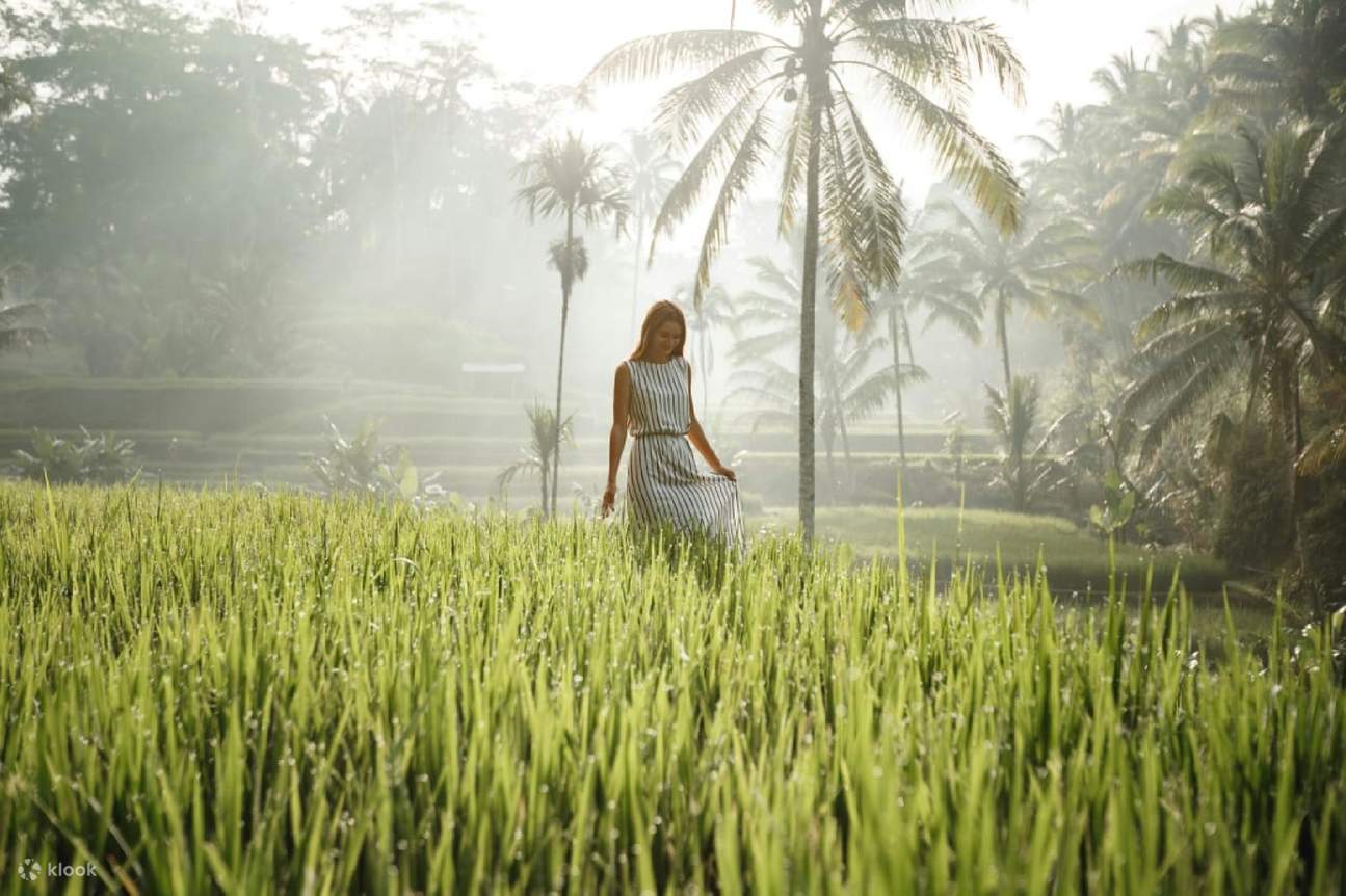 Lawatan Sehari Peribadi All-Inclusive Ubud - Klook Amerika Syarikat
