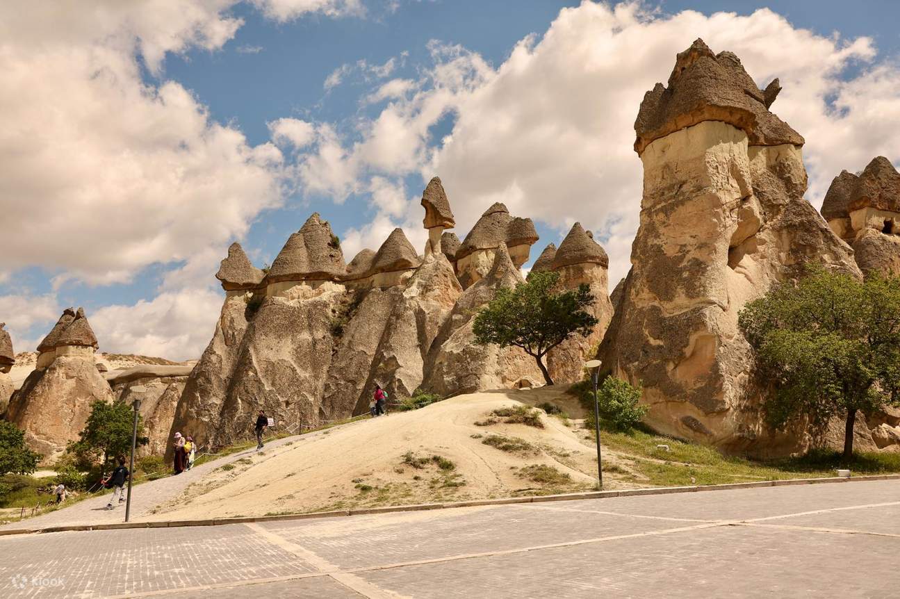 Full Day Private Guided Tour - Klook United States