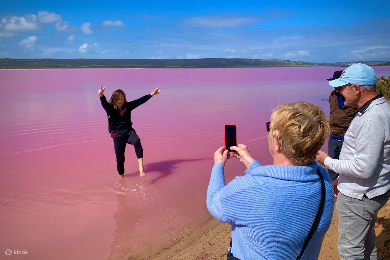 Pink Lake and Coastal Cliffs Tour in Kalbarri - Klook
