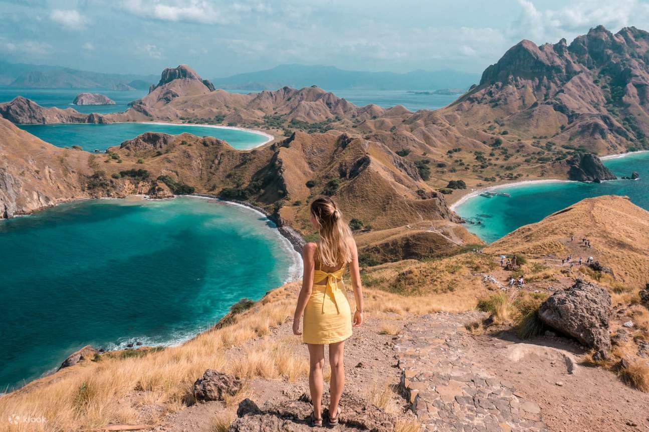 Private Speedboat Komodo Tour With Mac Cruise from Labuan Bajo - Klook ...