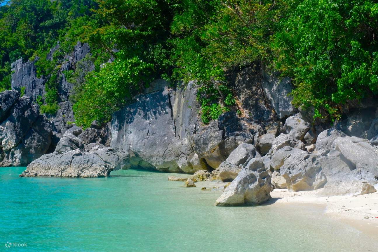 Gigantes Islands Private Eco-Tour from Iloilo - Klook Philippines