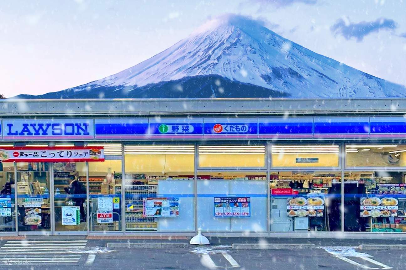 Mount Fuji Scenic Photo Tour: Lake Yamanaka Swan Feeding & Oshino ...
