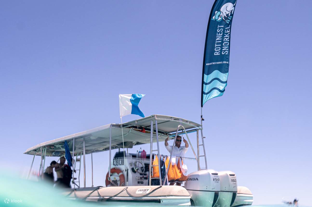 Tur Perahu Snorkeling Pulau Rottnest - Klook Indonesia
