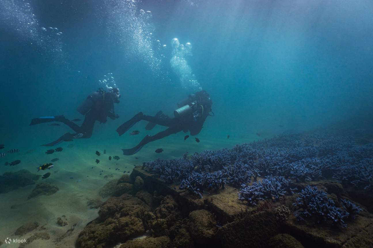 Penghu: Inari Diving Center - Experience Diving / Guided Diving / Diving Certification ...