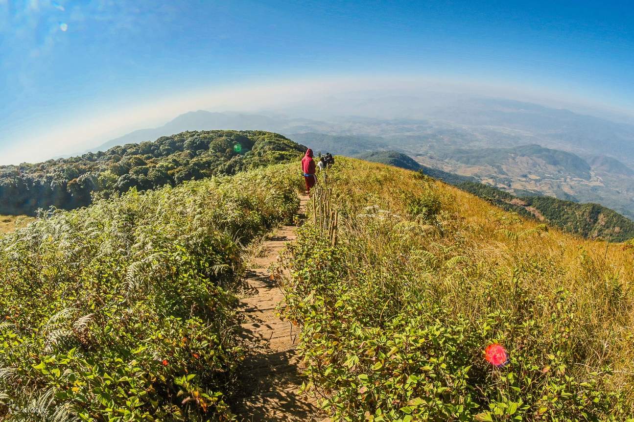 Chiang Mai: Kew Mae Pan Nature Trail & Doi Inthanon Day Trip - Klook ...