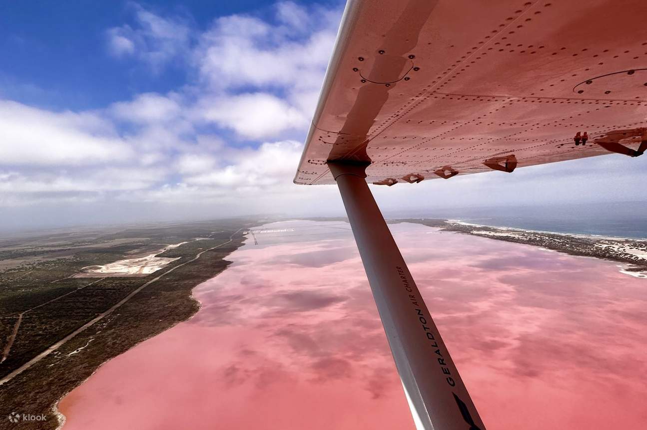 Tur Pink Lake Australia Barat 3 Hari dengan Pemandu Bahasa Mandarin ...