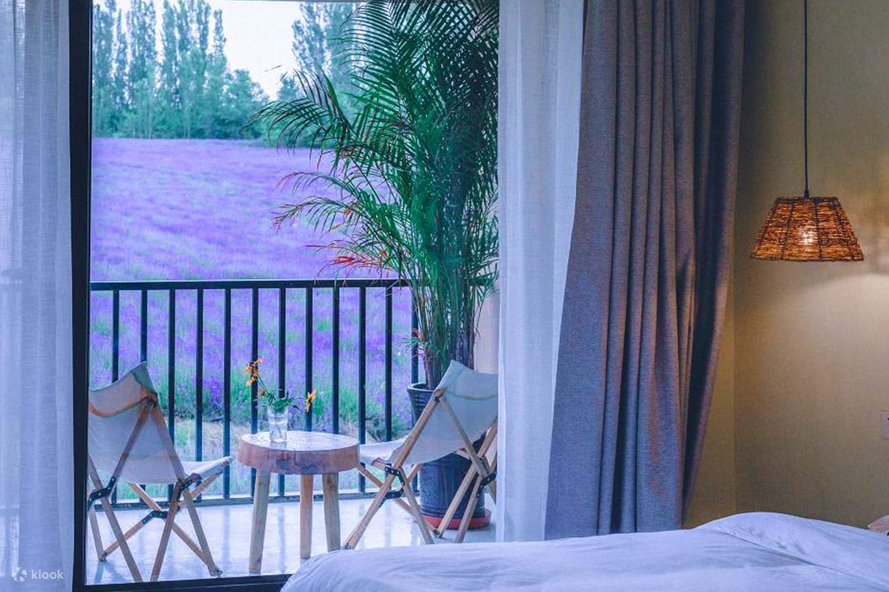 6-Day Private Tour of Ili, Xinjiang (Sailboat Experience on Sayram Lake ...