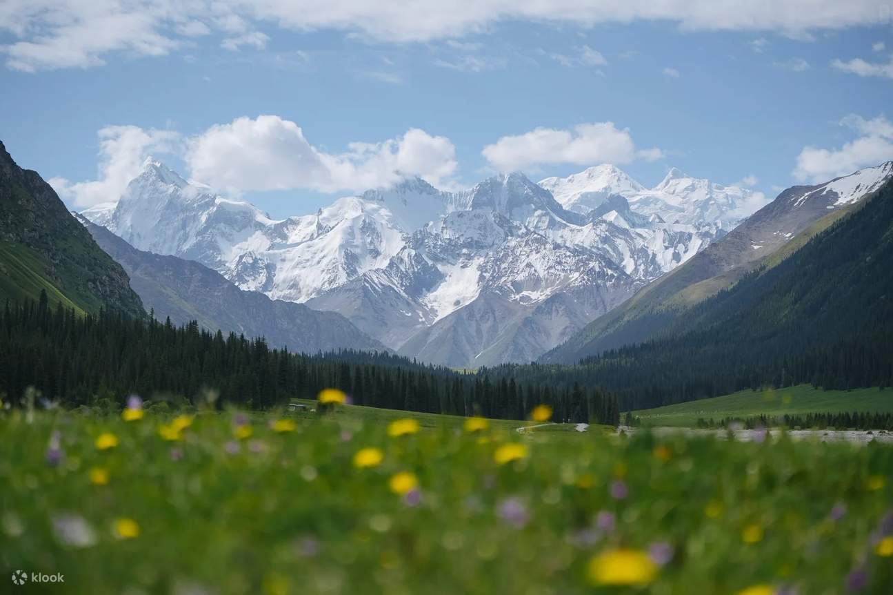 Xinjiang Yihua Yimeng 6 days (Turgen Xinghuagou + Nalati Sky Grassland ...