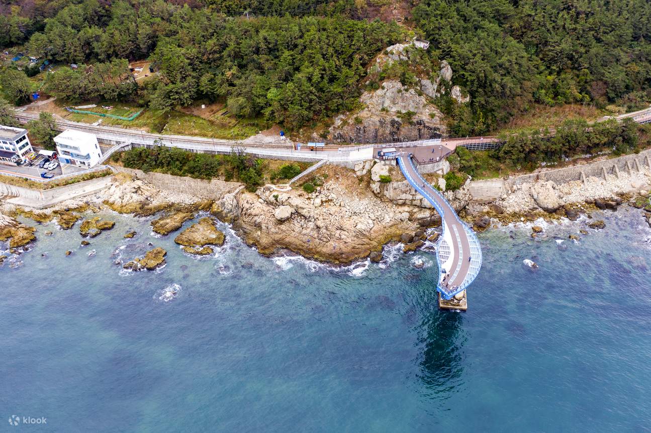 Busan Day Tour on Beach train + X the sky - Klook