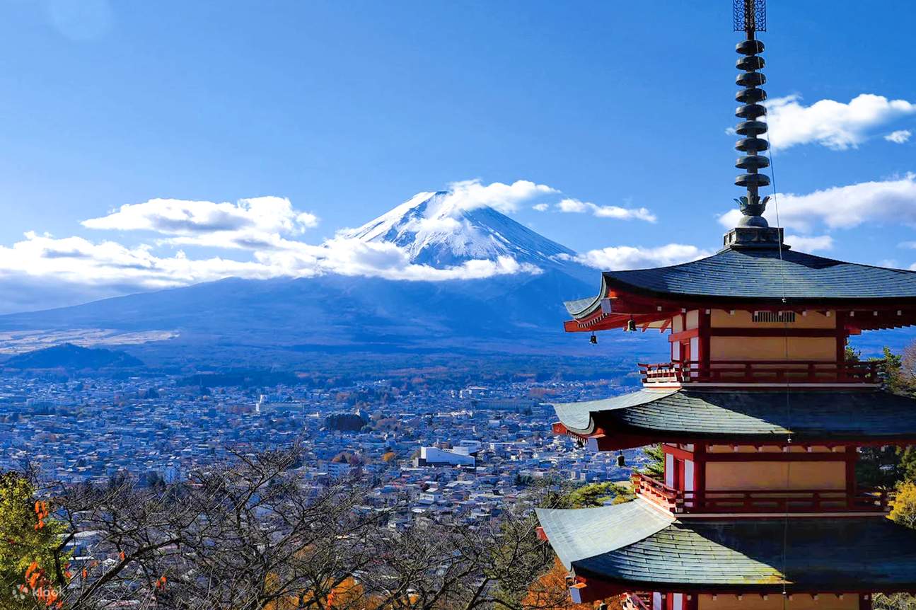 Mt. Fuji 6 Views Photography Private Small Group Tour (9-person ...