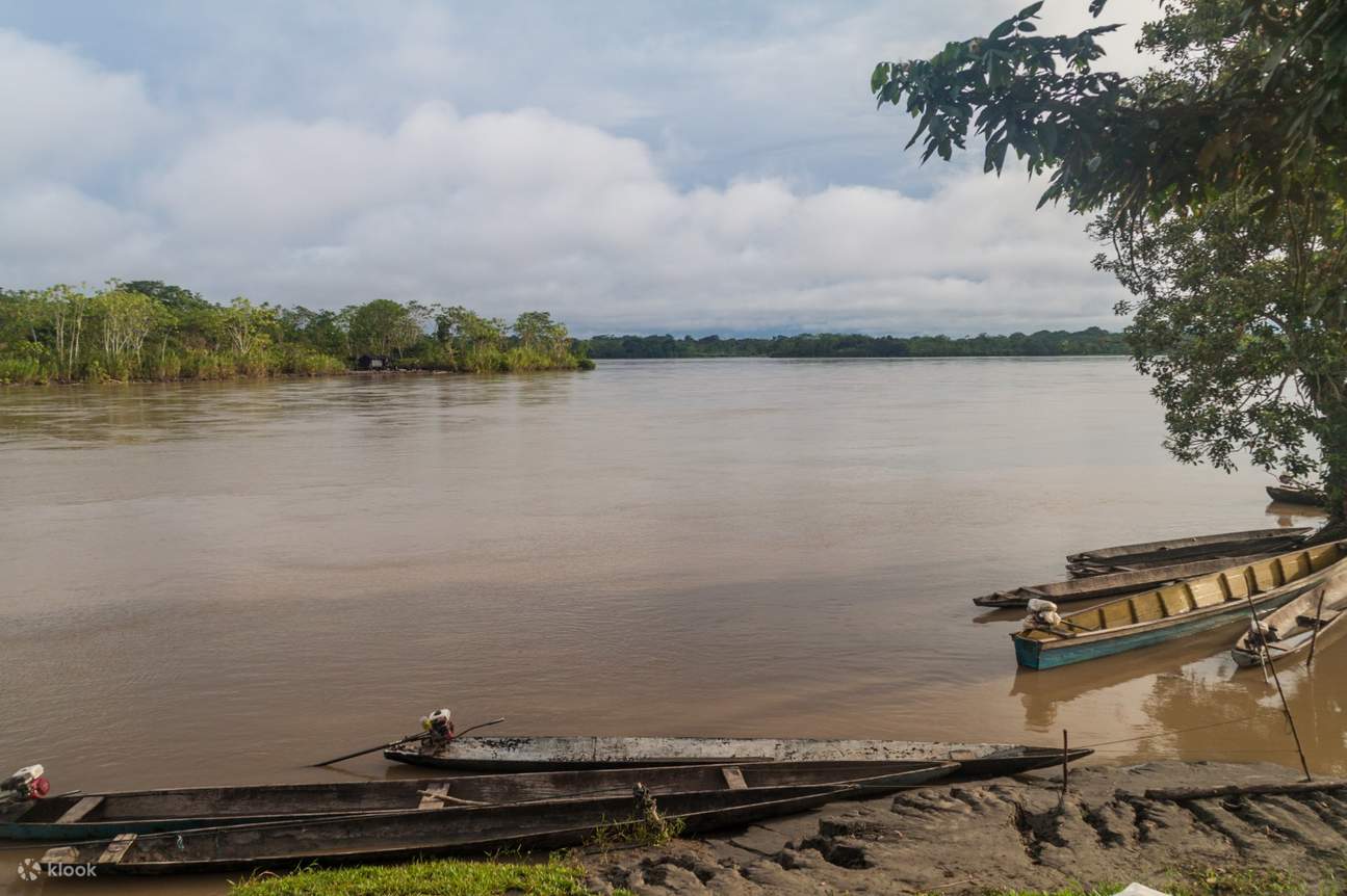 Embark on a Thrilling 5-Day Manu National Park Tour: Explore the Amazon ...