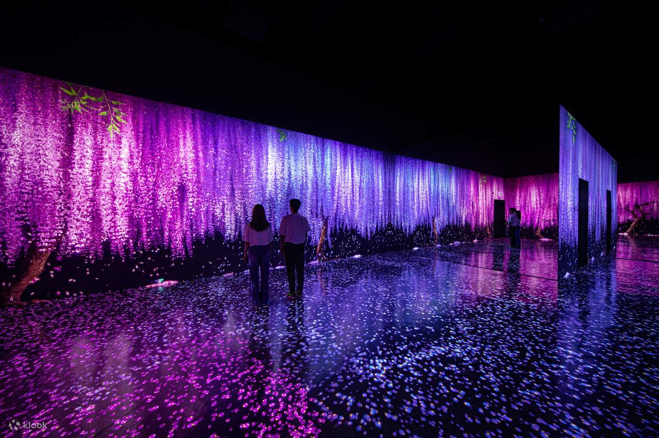 Yeosu Arte Museum / Maritime Cable / Odong Island Tour from Busan ...