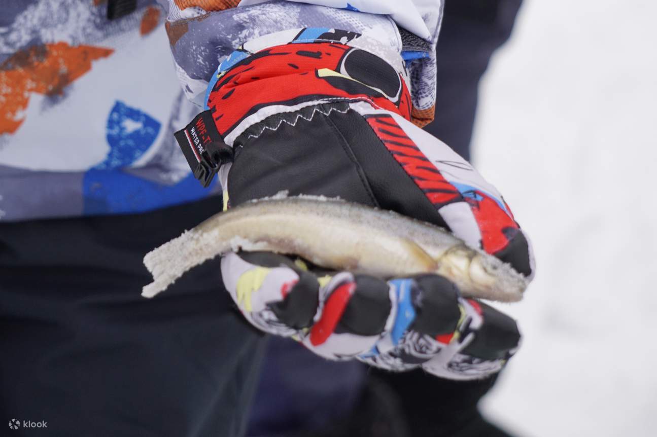 Winter fishing and hunting in Changbai Mountain: traditional fishing and Northeastern iron pot ...