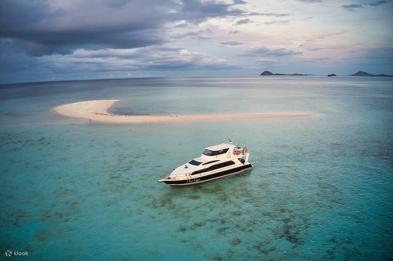 Komodo Half Day Speedboat Tour from Labuan Bajo - Klook