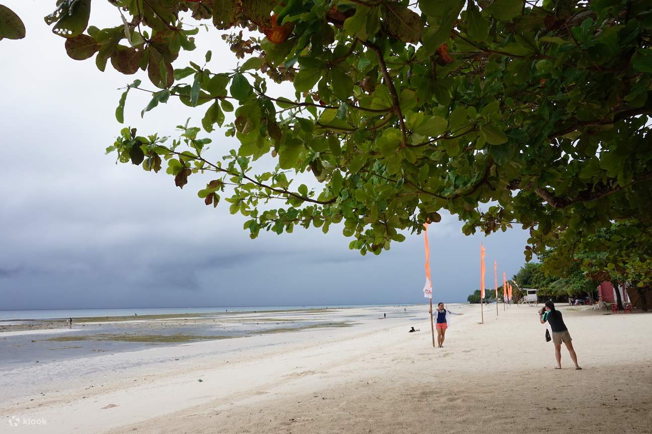 Wonders of Anda Bohol Tour - Klook