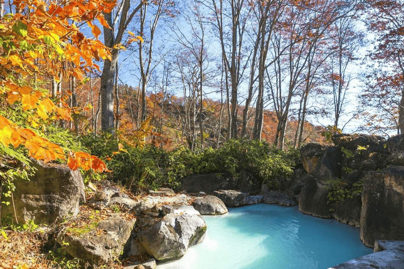 Nagano Private Night Tour: Stargazing While Soaking in Outdoor Onsen ...
