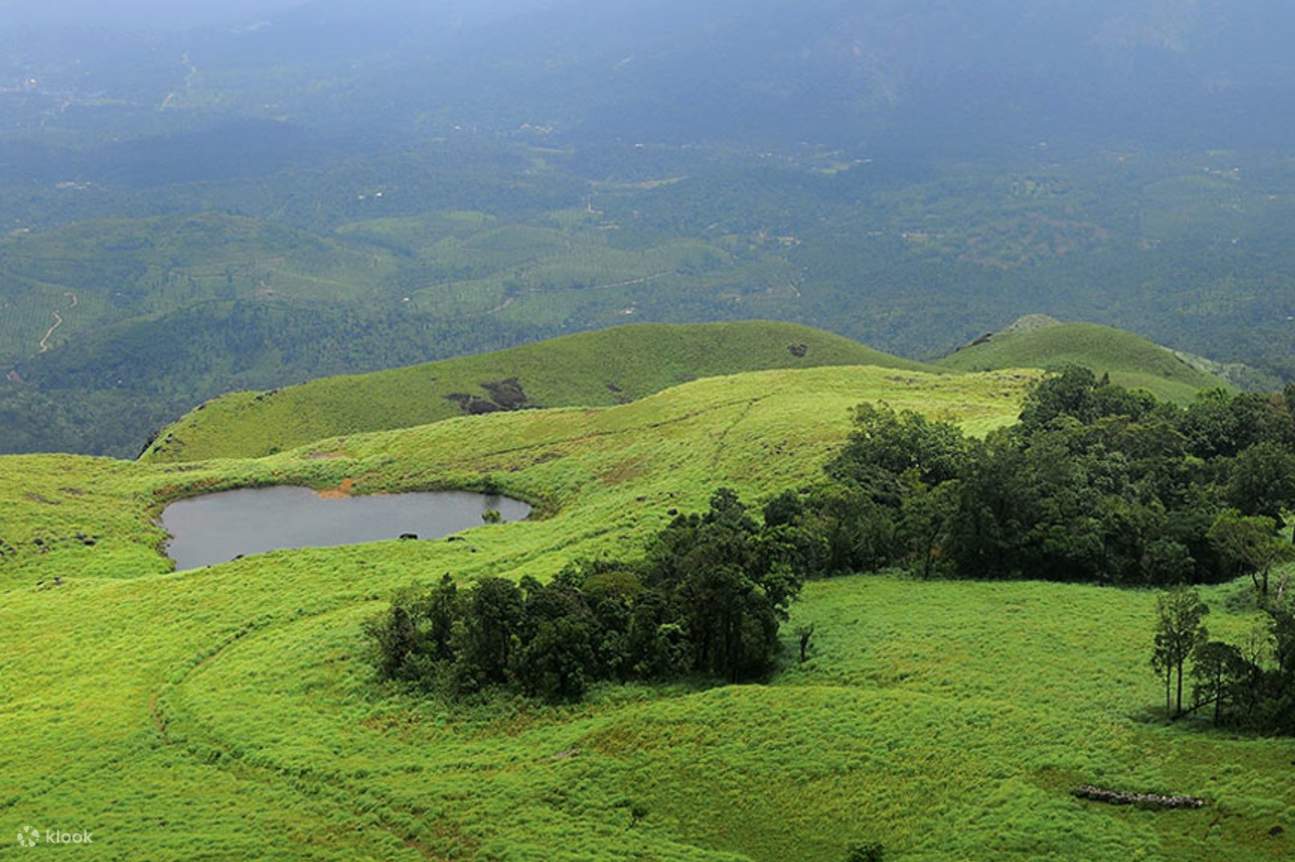Wayanad Private Sightseeing Tour from Karipur - Klook Singapore