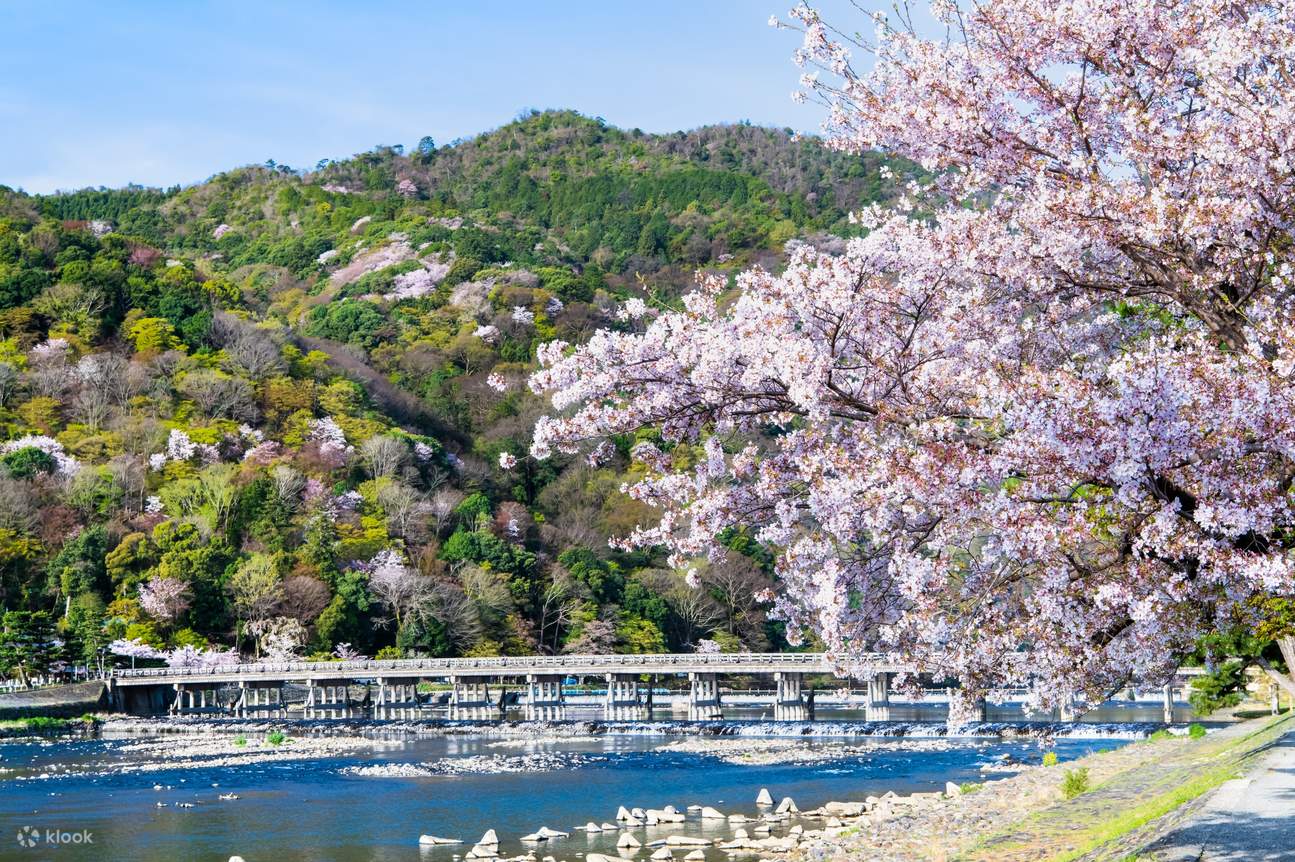 伏见稻荷大社 And 岚山 And 清水寺一日游（京都出发） Klook客路