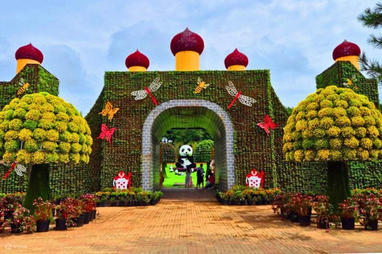 Taean Tulip Festival, Sky Bike, and Anmyeondo Island Seaside Day Tour ...
