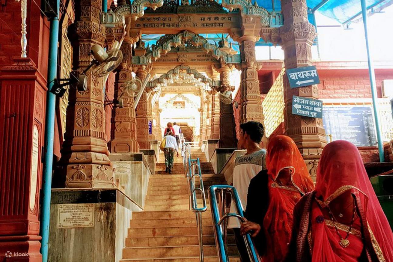 8 Days Tour of Golden Triangle of India Along with Jodhpur & Osian - Klook