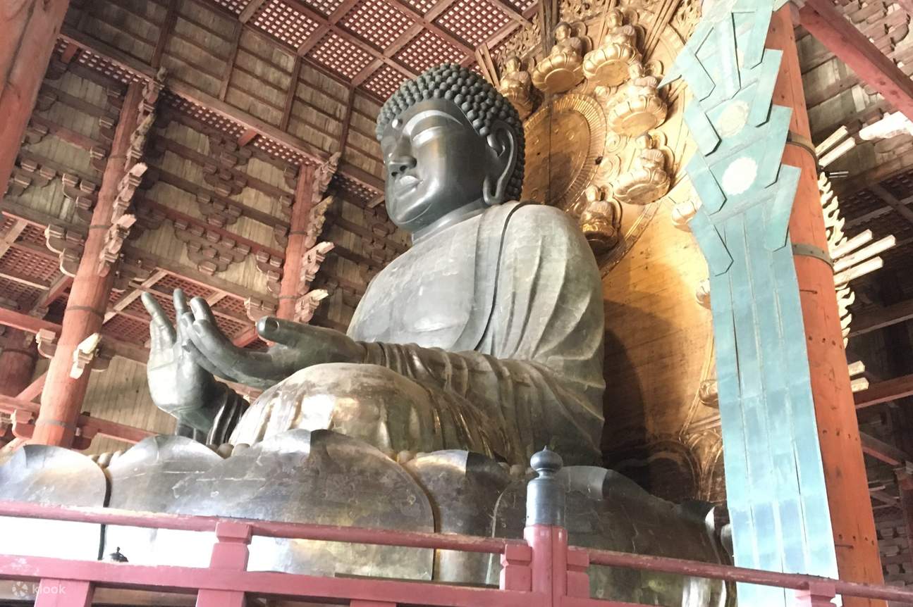나라시 나라 공원 사원 및 신사 프라이빗 일일 가이드 투어 클룩 Klook 한국