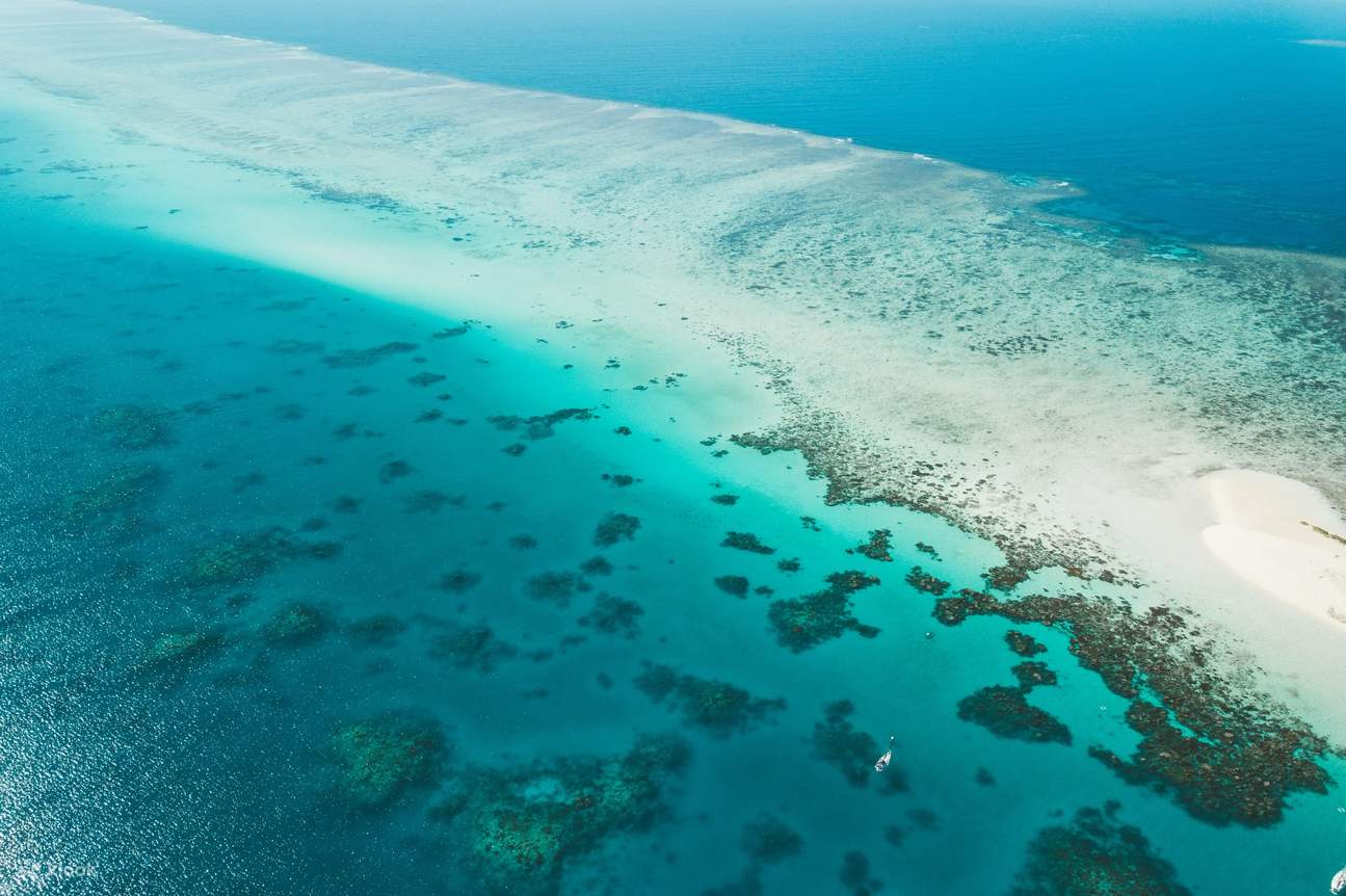 Great Barrier Reef Snorkel, Dive and Helicopter Flight Full Day Tour ...